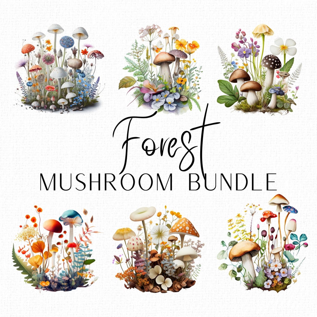 Forest Mushrooms Clipart Bundle Mushrooms Png Fantasy Art - Etsy