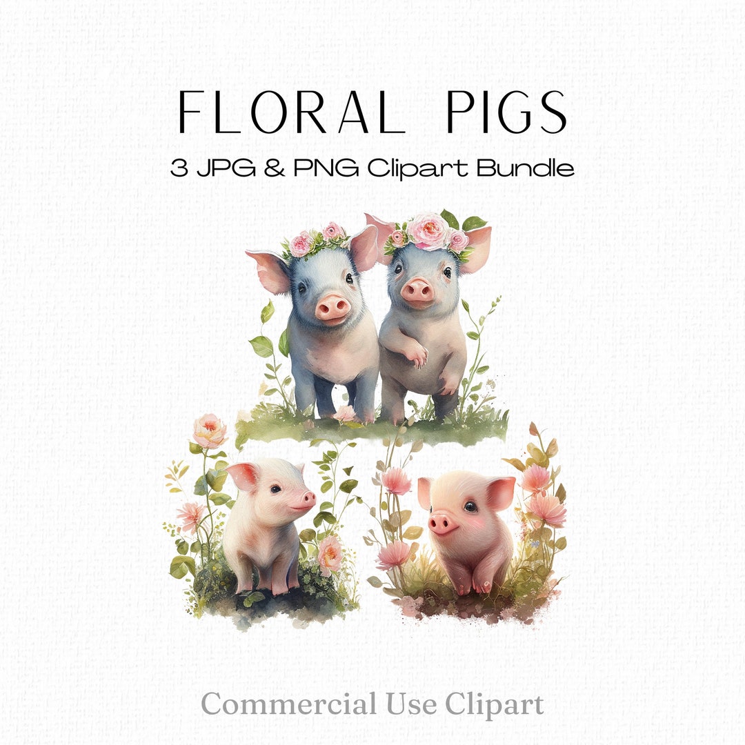 Piglets Clipart Bundle Piglets Png Watercolour Piglets Baby Pigs With ...