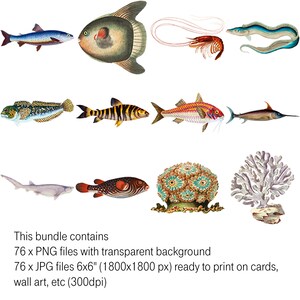Sea Animals Watercolor Clipart Digital Scrapbook Vintage Clipart Ocean ...