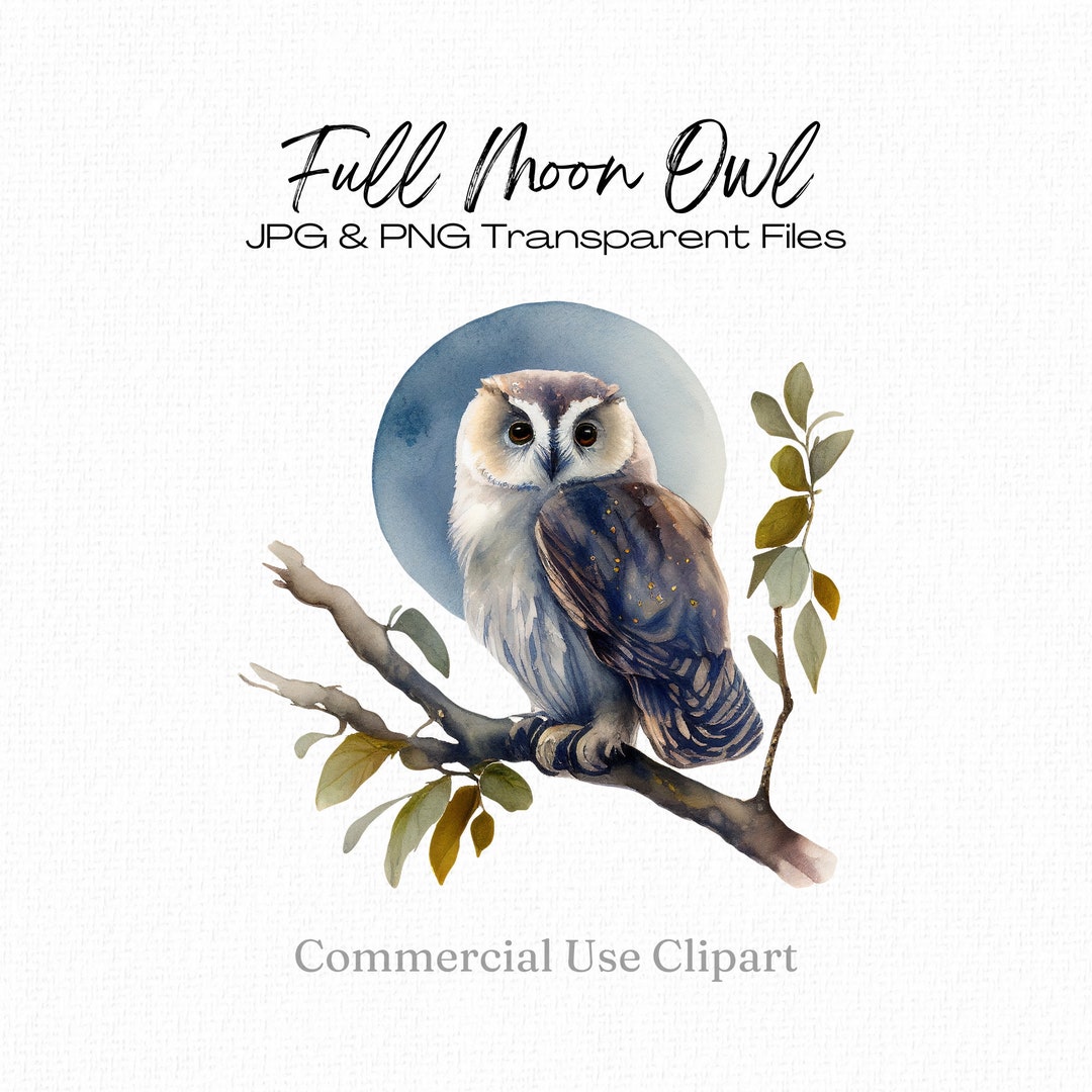 Full Moon Owl Clipart, Watercolour Owl, Perched Owl Png, Celestial Owl ...