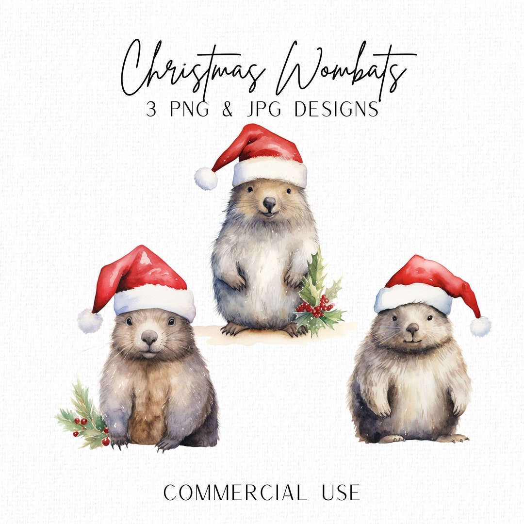 Wombat Christmas Clipart, Australian Animal Christmas Clipart ...