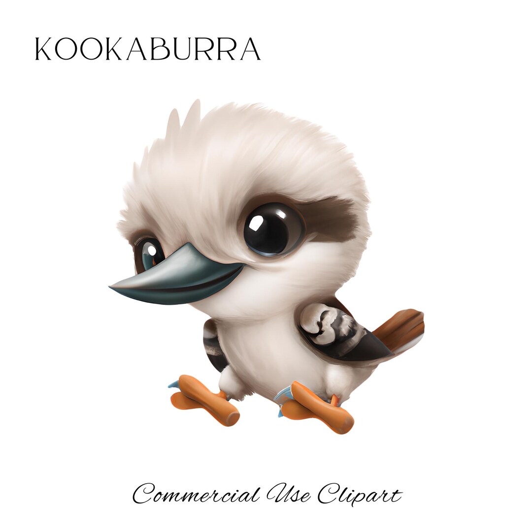 Kookaburra Clipart, Cute Kookaburra Png, Australian Baby Bird, Kawaii ...