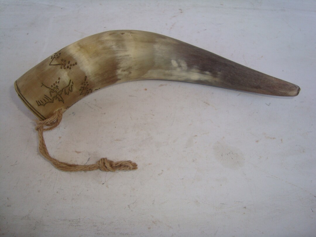 Horn, Real Animal Horn , Natural Finds, Natural Horn, Villa Decoration ...