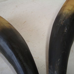 Horns, Vintage Horn , Shofar Horn , Real Ram Horns, Ram Horn , Ram ...