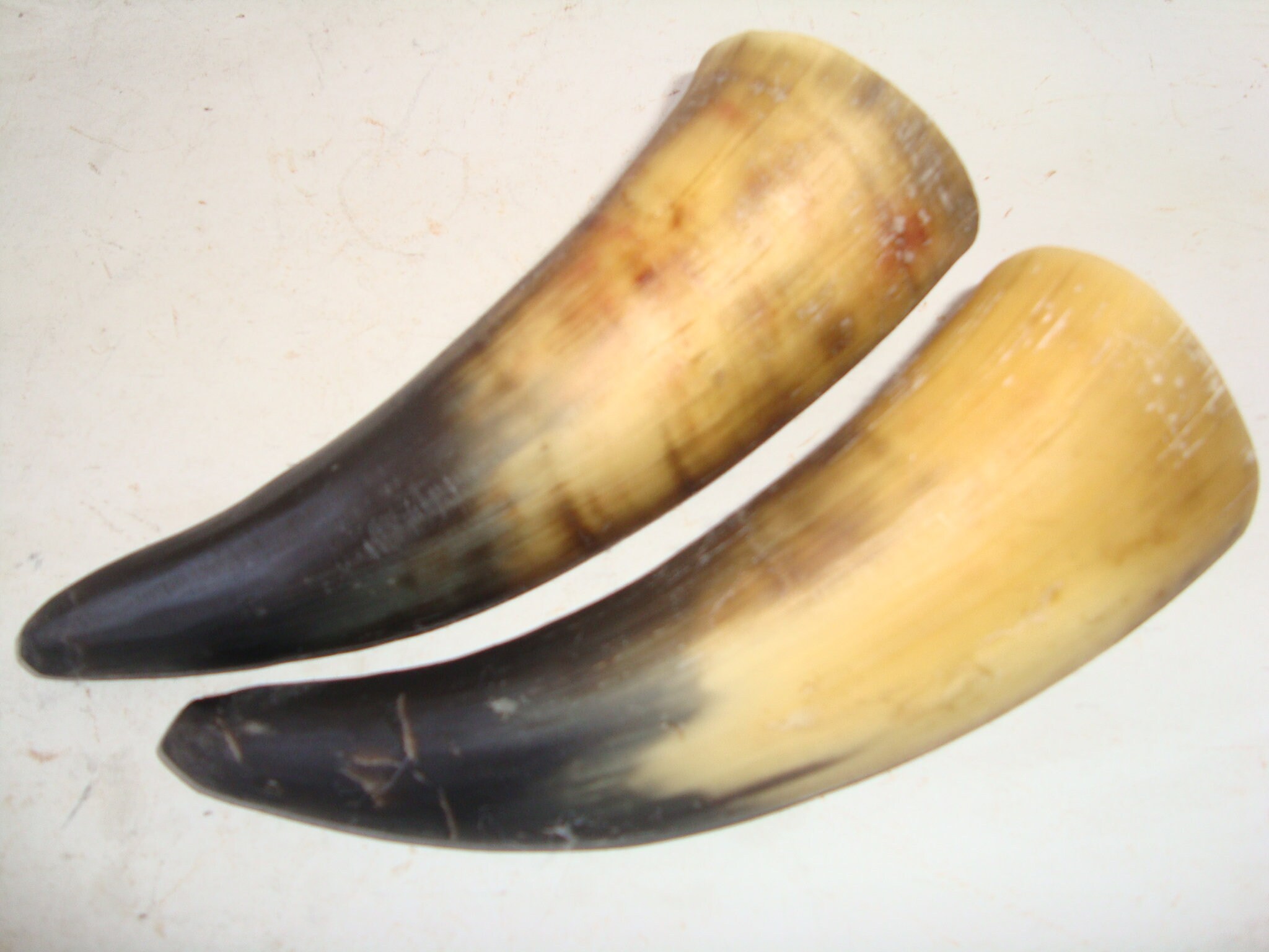 Horns Vintage Horn Shofar Horn Real Ram Horns Ram Horn - Etsy