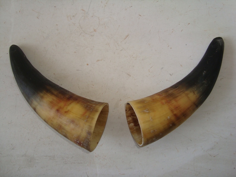 Horns Vintage Horn Shofar Horn Real Ram Horns Ram Horn - Etsy