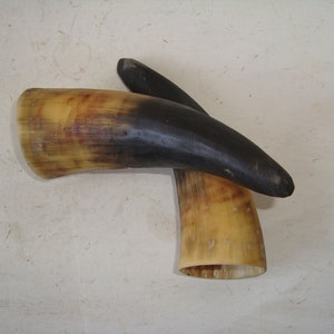 Horns, Vintage Horn , Shofar Horn , Real Ram Horns, Ram Horn , Ram ...