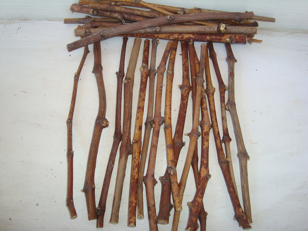 Branches Vine Twigs , Wooden Sticks for , Crafts Supplies ,26 Grape ...