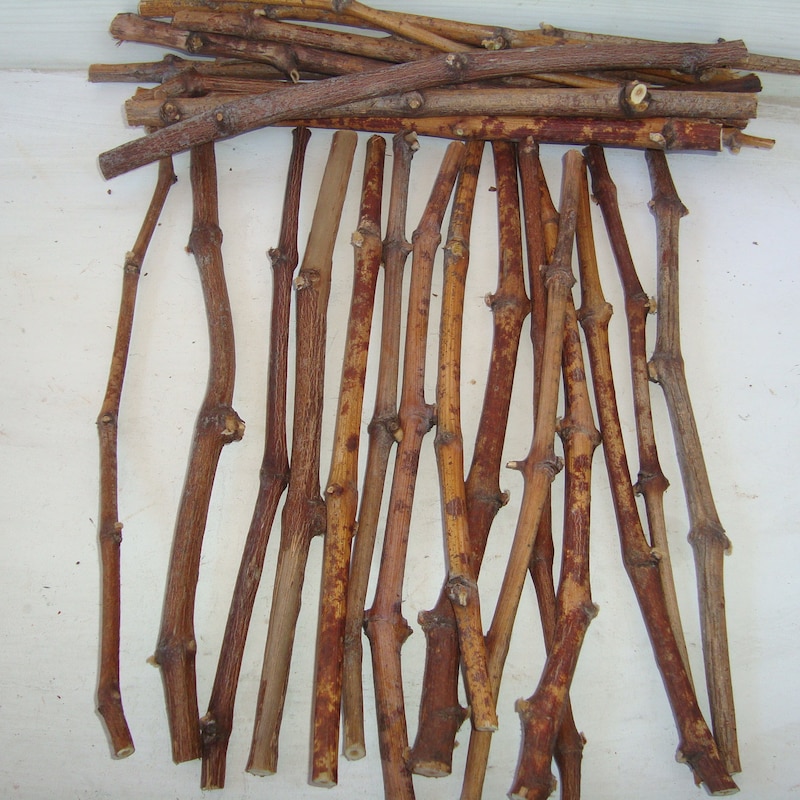 Vines Branches - Etsy