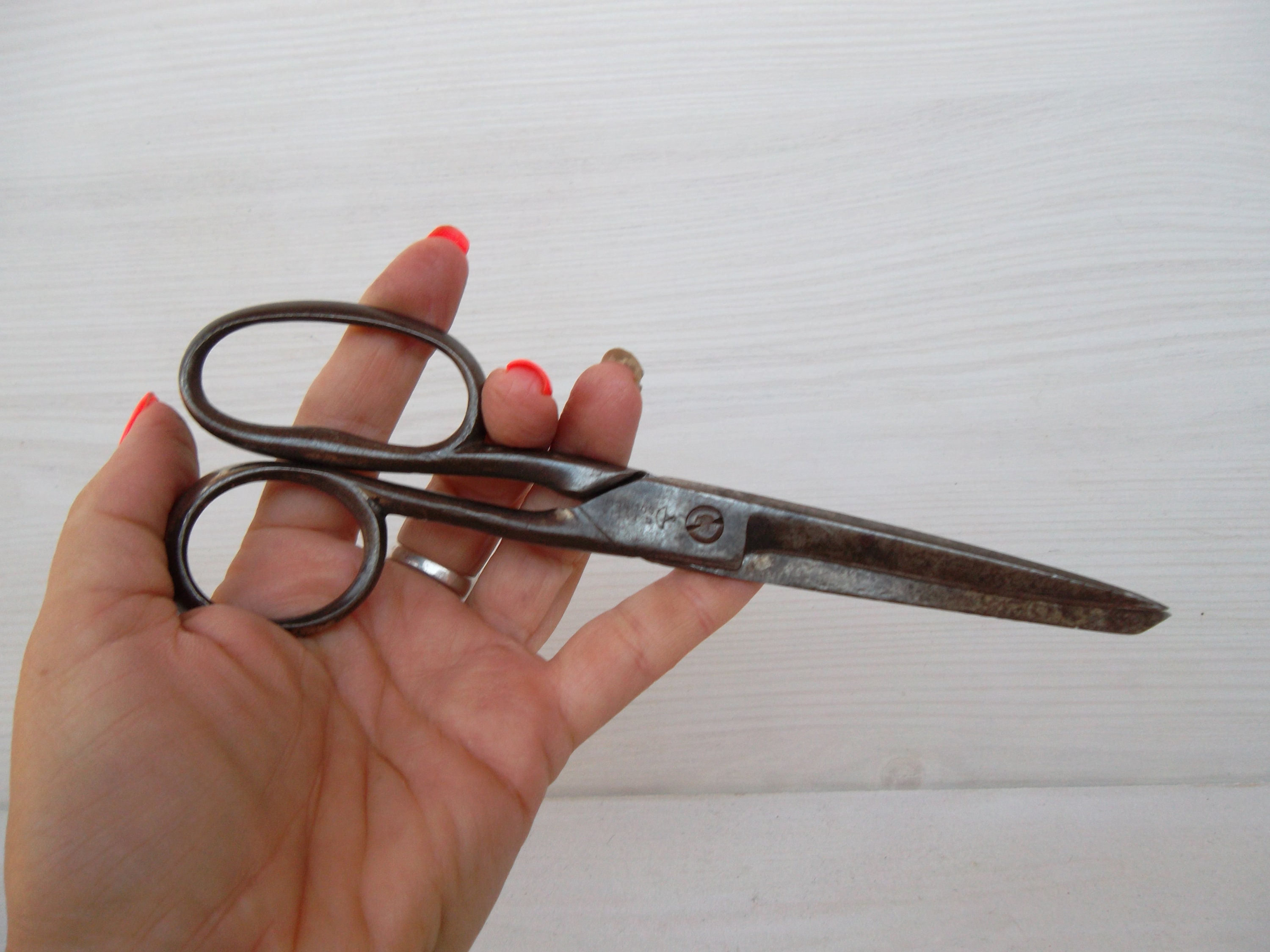 Vintage Scissors Solingen, Germany Scissors, Vintage Scissors, Metal ...