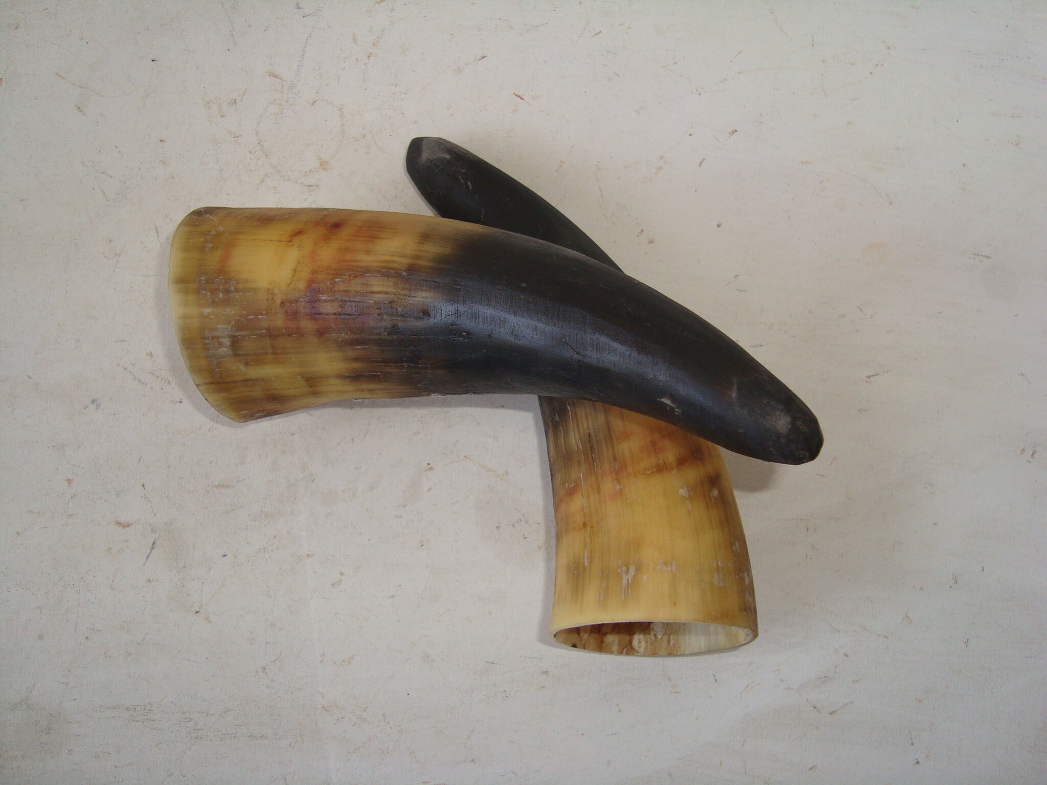 Horns Vintage Horn Shofar Horn Real Ram Horns Ram Horn - Etsy