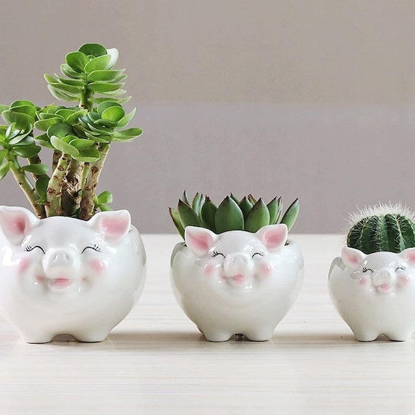 Pig Planter - Etsy