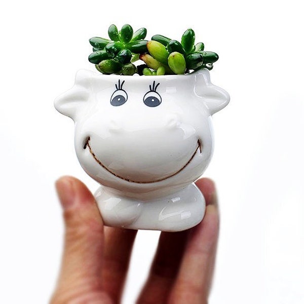 Cow Planter - Etsy