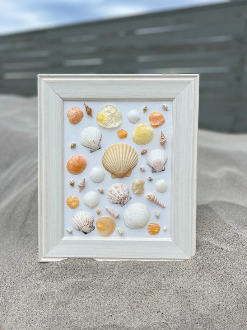 Framed Seashell Wall Hanging - Etsy