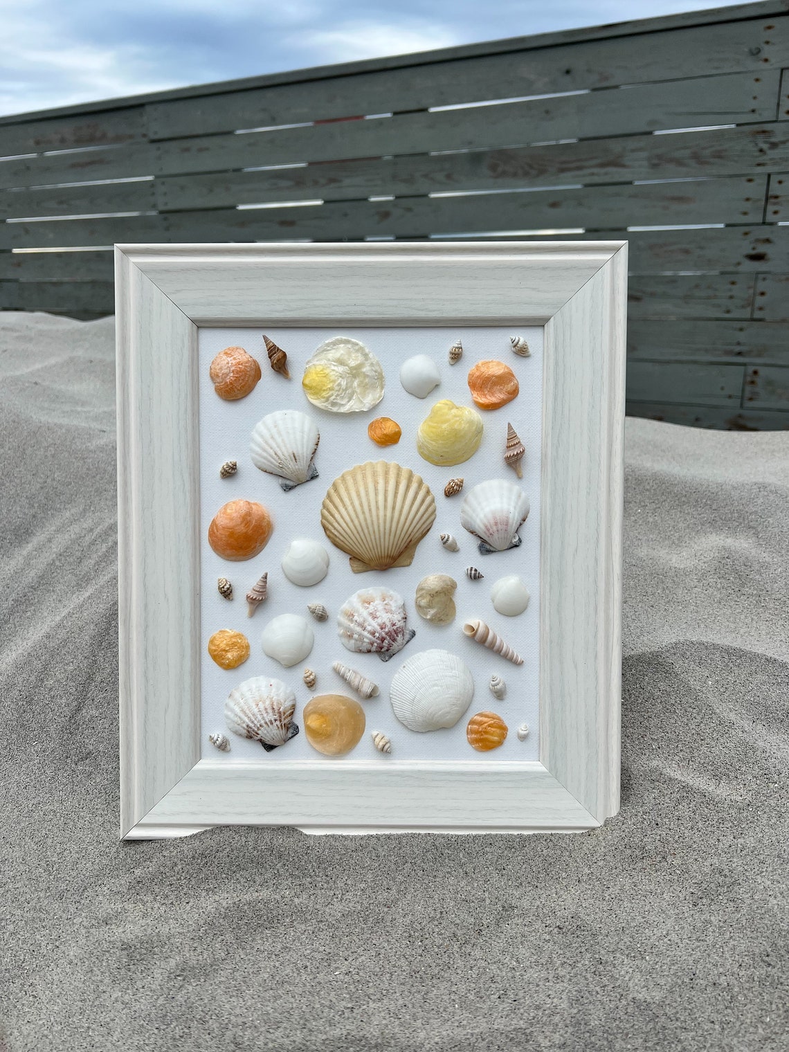 Framed Seashell Wall Hanging - Etsy