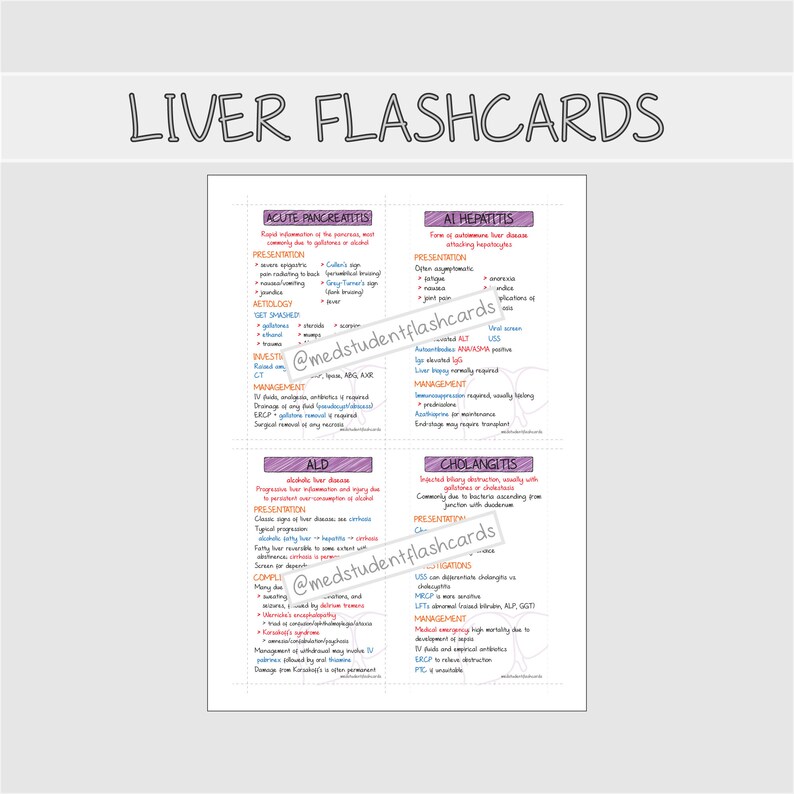 Liver Medicine Flashcards PDF - Etsy