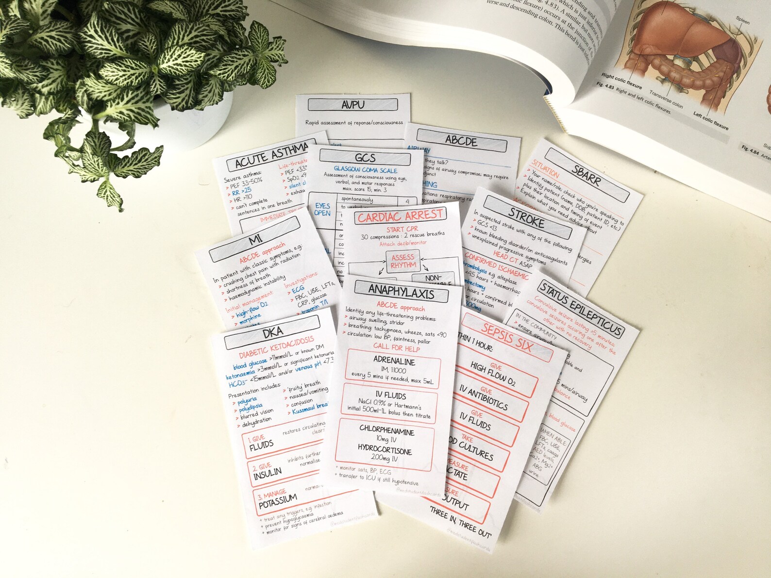 Medicine Study Flashcards Bundle PDF | Etsy