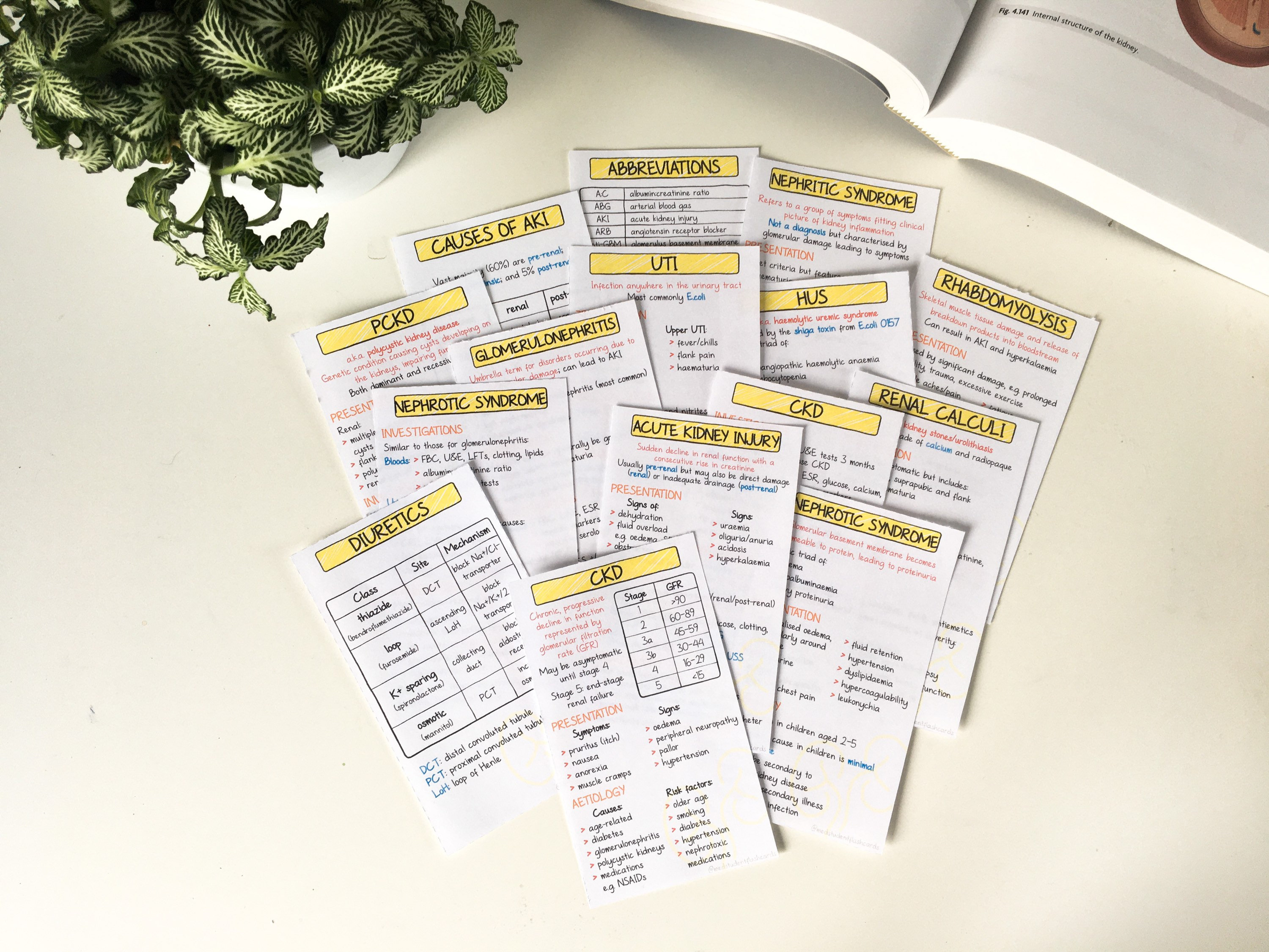 Medicine Study Flashcards Bundle PDF | Etsy