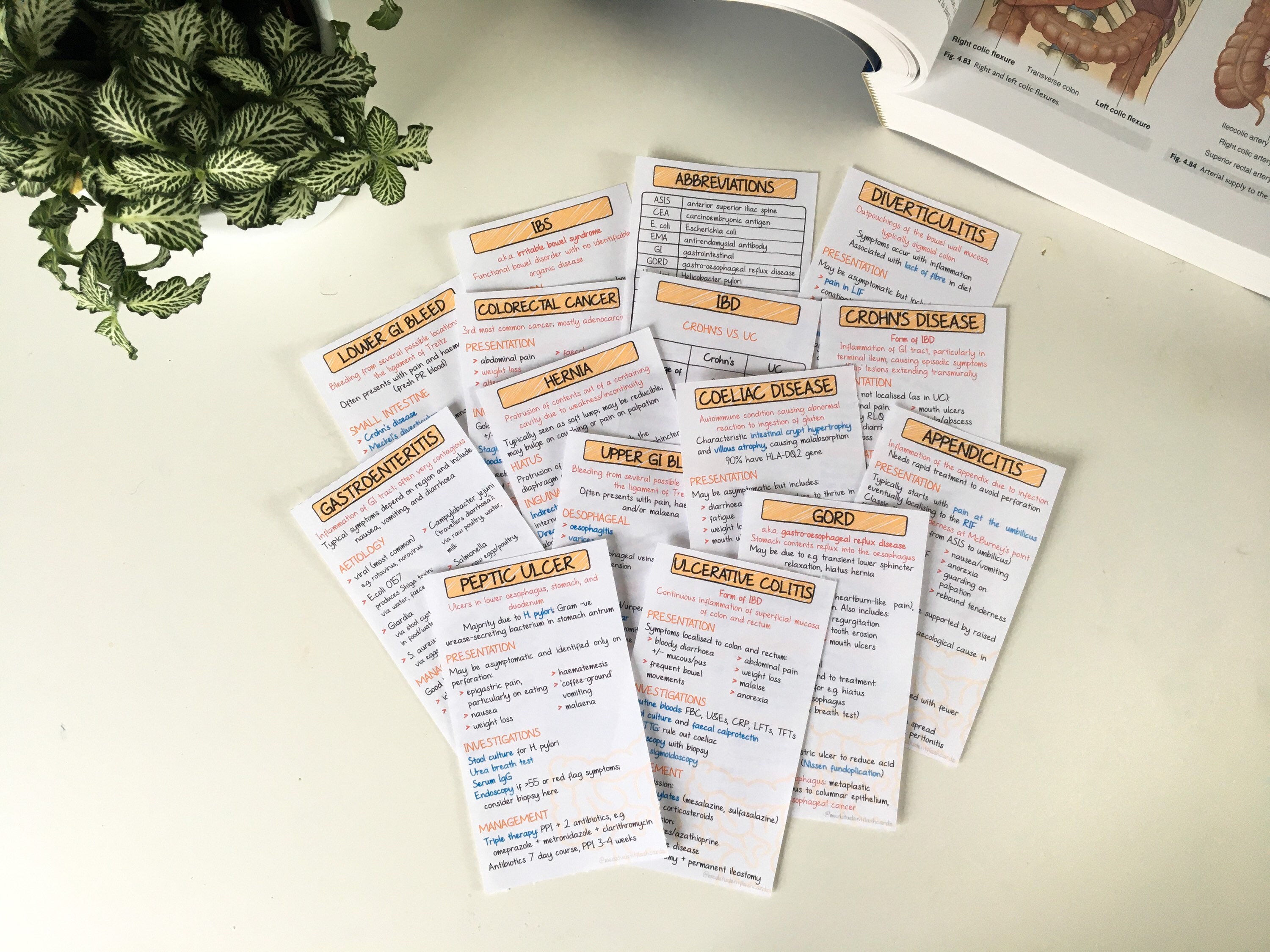 Medicine Study Flashcards Bundle PDF | Etsy