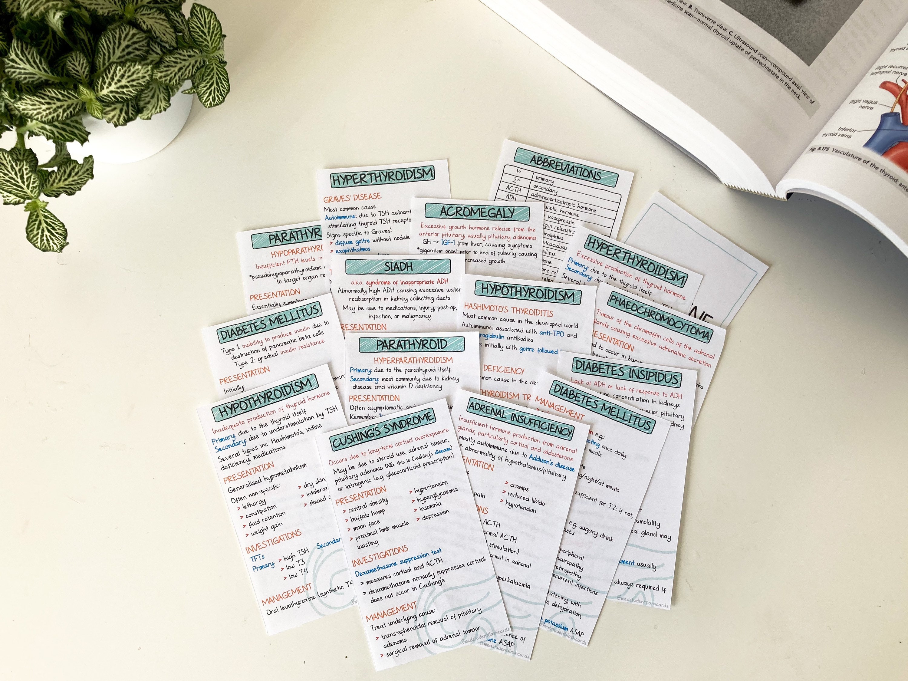 Medicine Study Flashcards Bundle PDF | Etsy