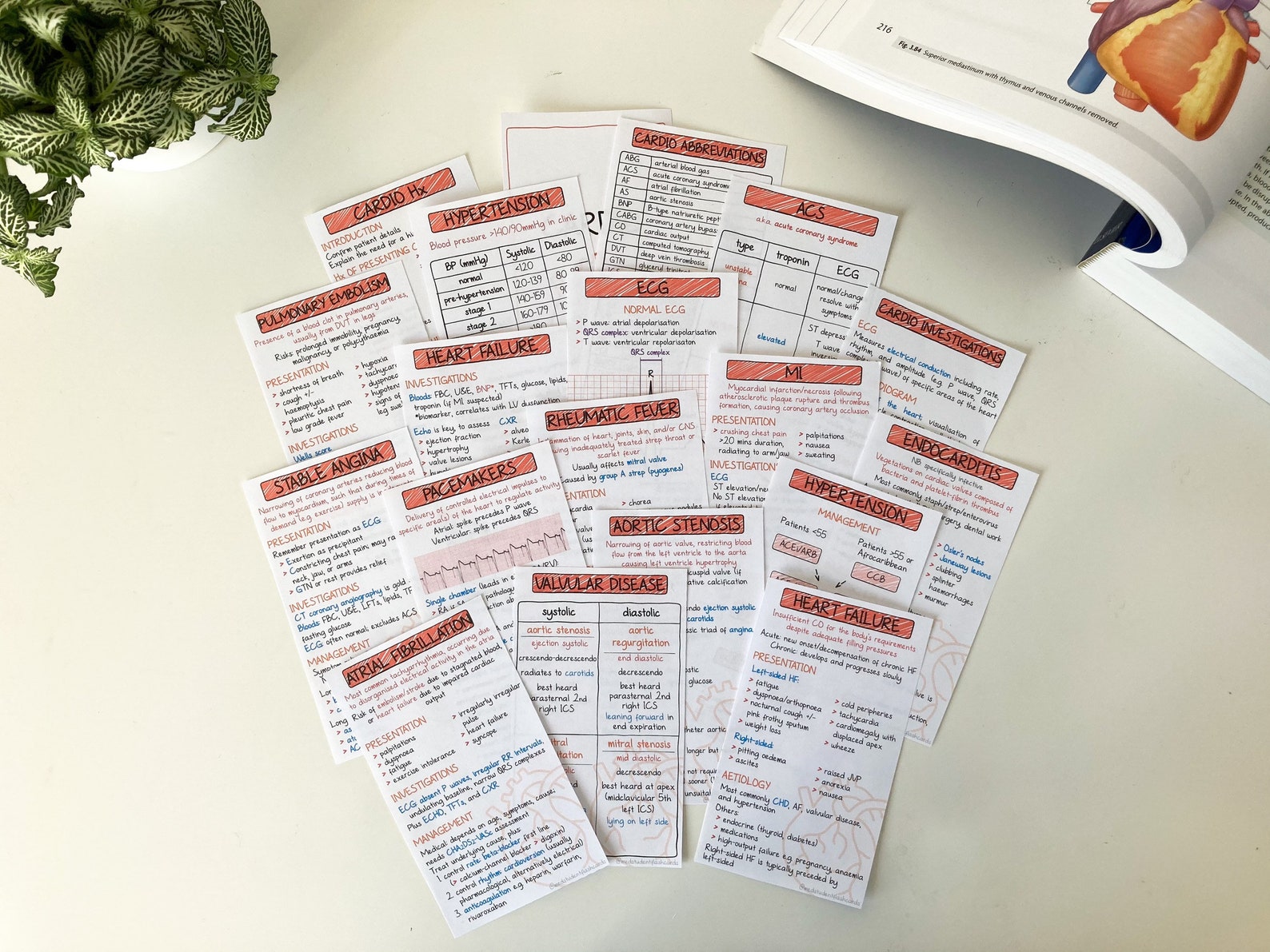 Cardiovascular Medicine Flashcards PDF - Etsy