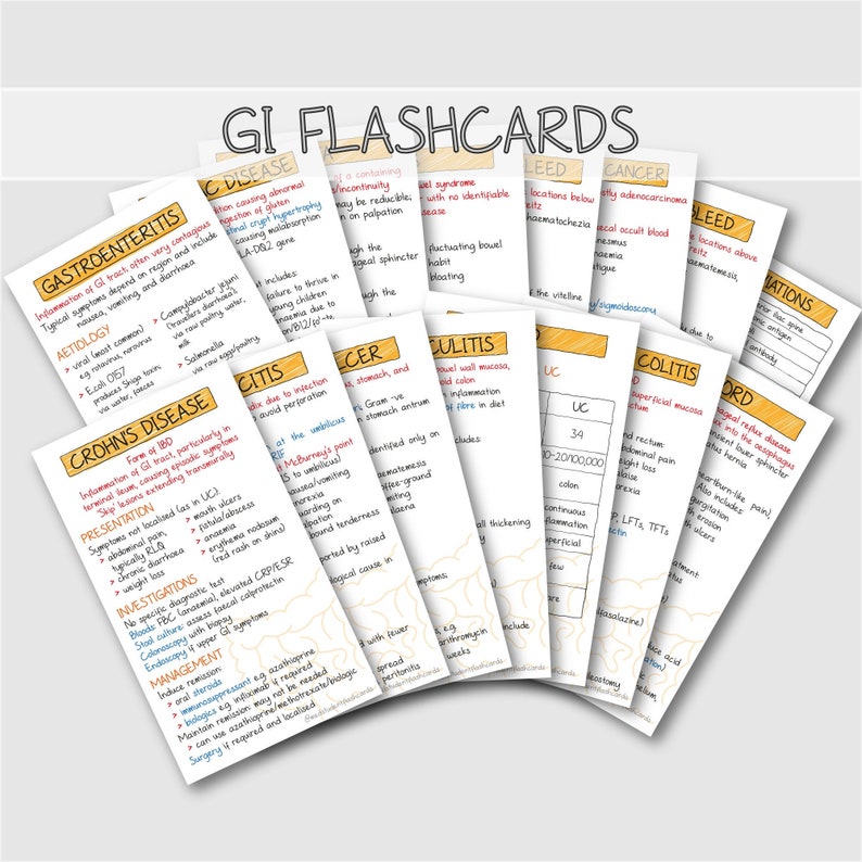 Gastrointestinal Medicine Flashcards PDF - Etsy