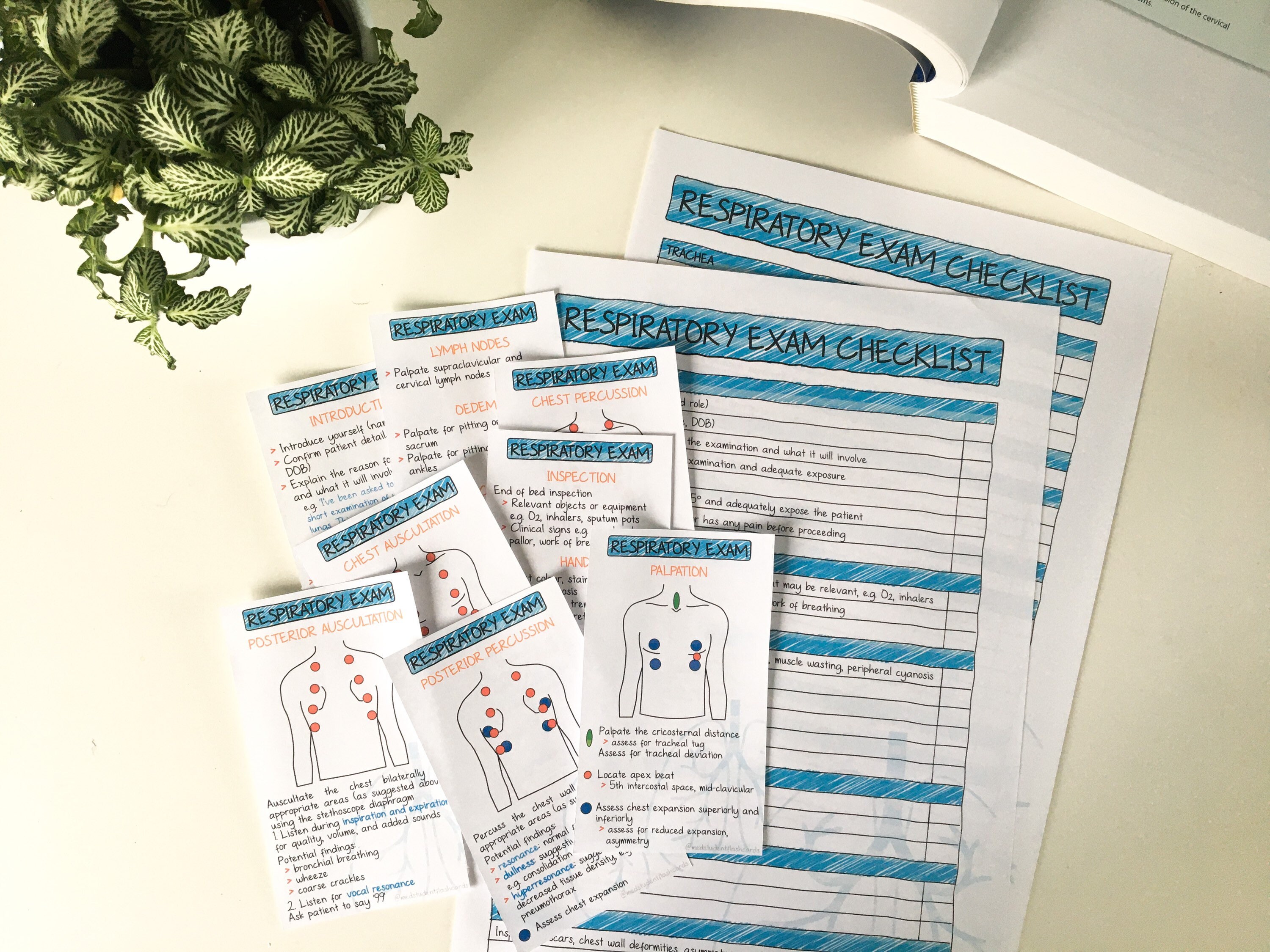 Respiratory Examination Osce Clinical Exam Pdf Etsy