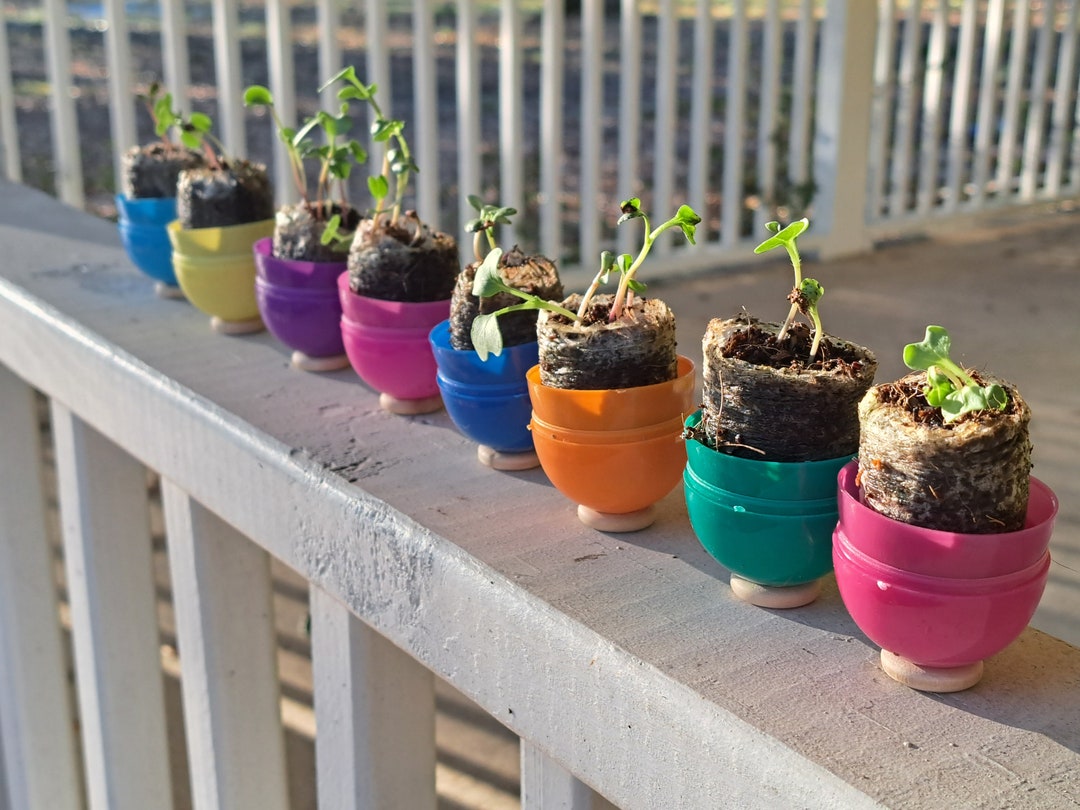 Easter Grow Kits, Plastic Egg Stuffers, Great for Kids, Egg Hunts ...