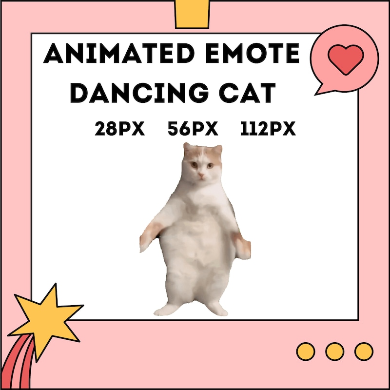 Discord Cat Banner - Etsy