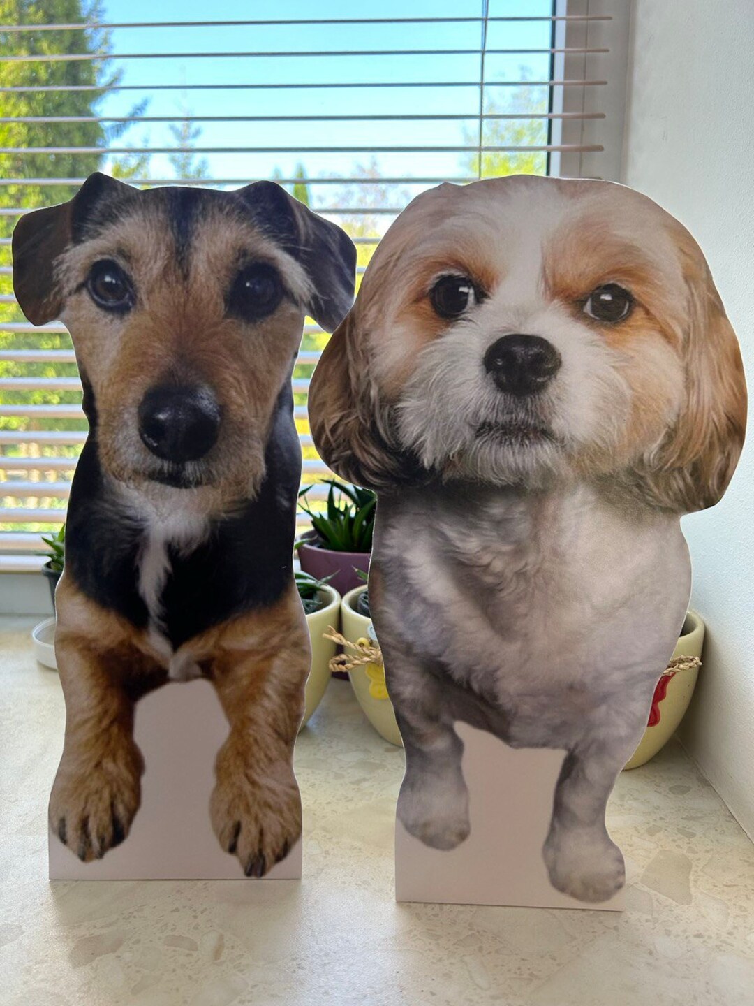 Lifesize Cut Out, Pet Cardboard Cutouts, Wedding Favor - Etsy UK