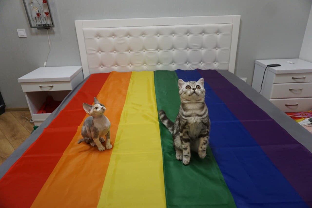 Progress Pride Flag Custom Pride Flag Lgbt Pride Wall Flags Bi - Etsy