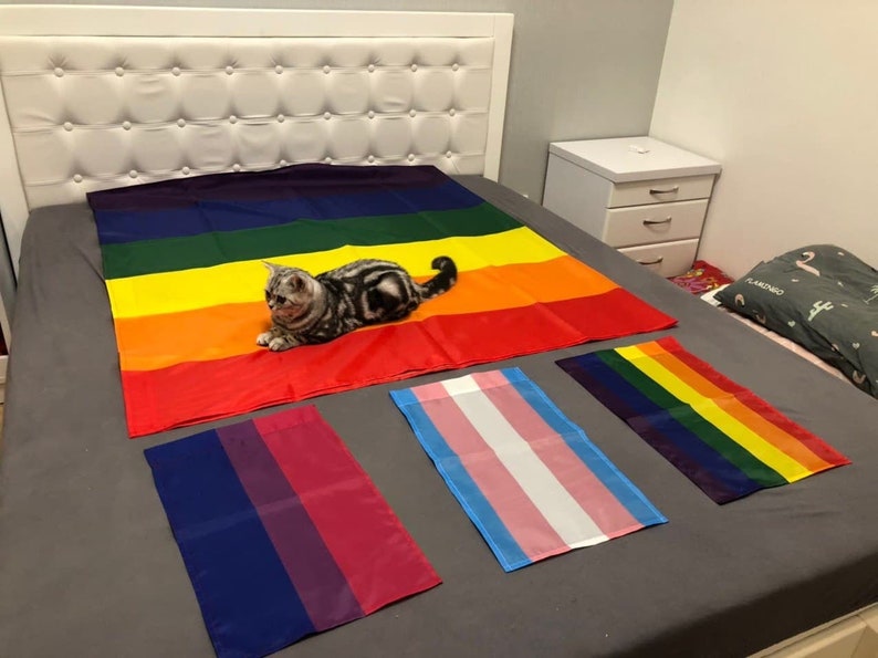 Progress Pride Flag Custom Pride Flag Lgbt Pride Wall Flags Bi - Etsy