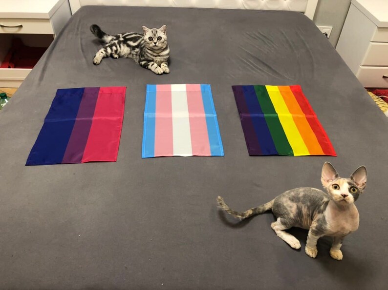 Progress Pride Flag Custom Pride Flag Lgbt Pride Wall Flags Bi - Etsy Progress Pride Flag Custom Pride Flag Lgbt Pride Wall Flags Bi - Etsy