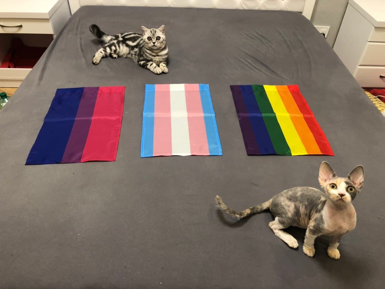 Progress Pride Flag Custom Pride Flag Lgbt Pride Wall Flags Bi - Etsy