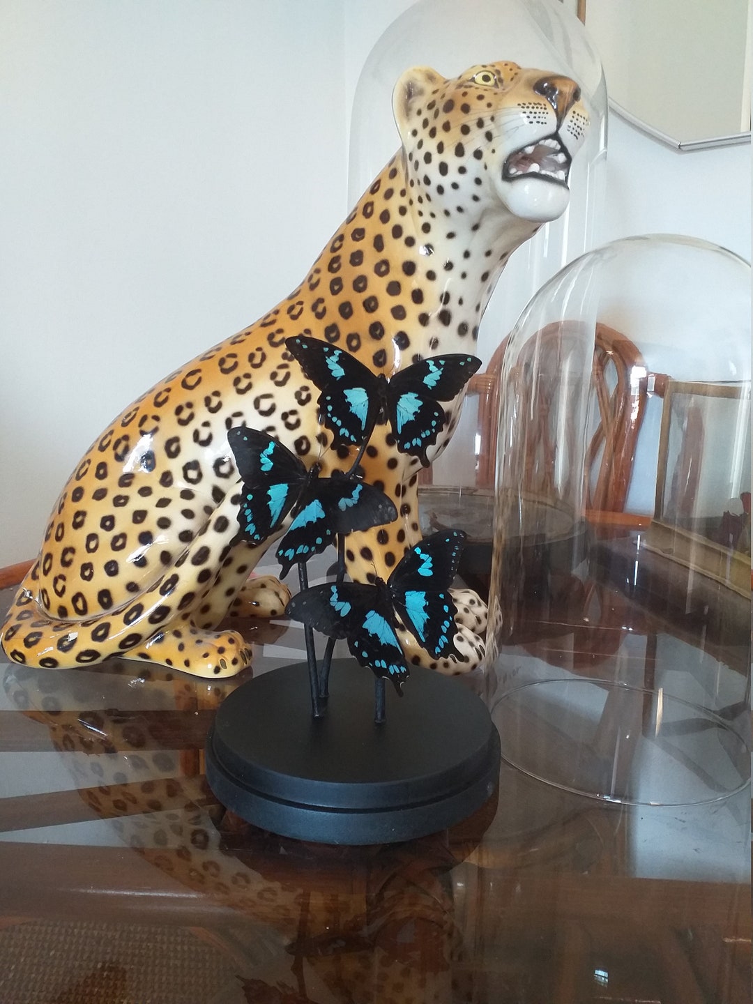 Glass Dome With Real Blue Butterflies - Three Butterflies - Etsy