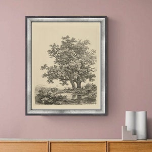 CANVAS ART PRINT | Antique Oak Tree Drawing | Lonely Tree Sketch | Tree ...