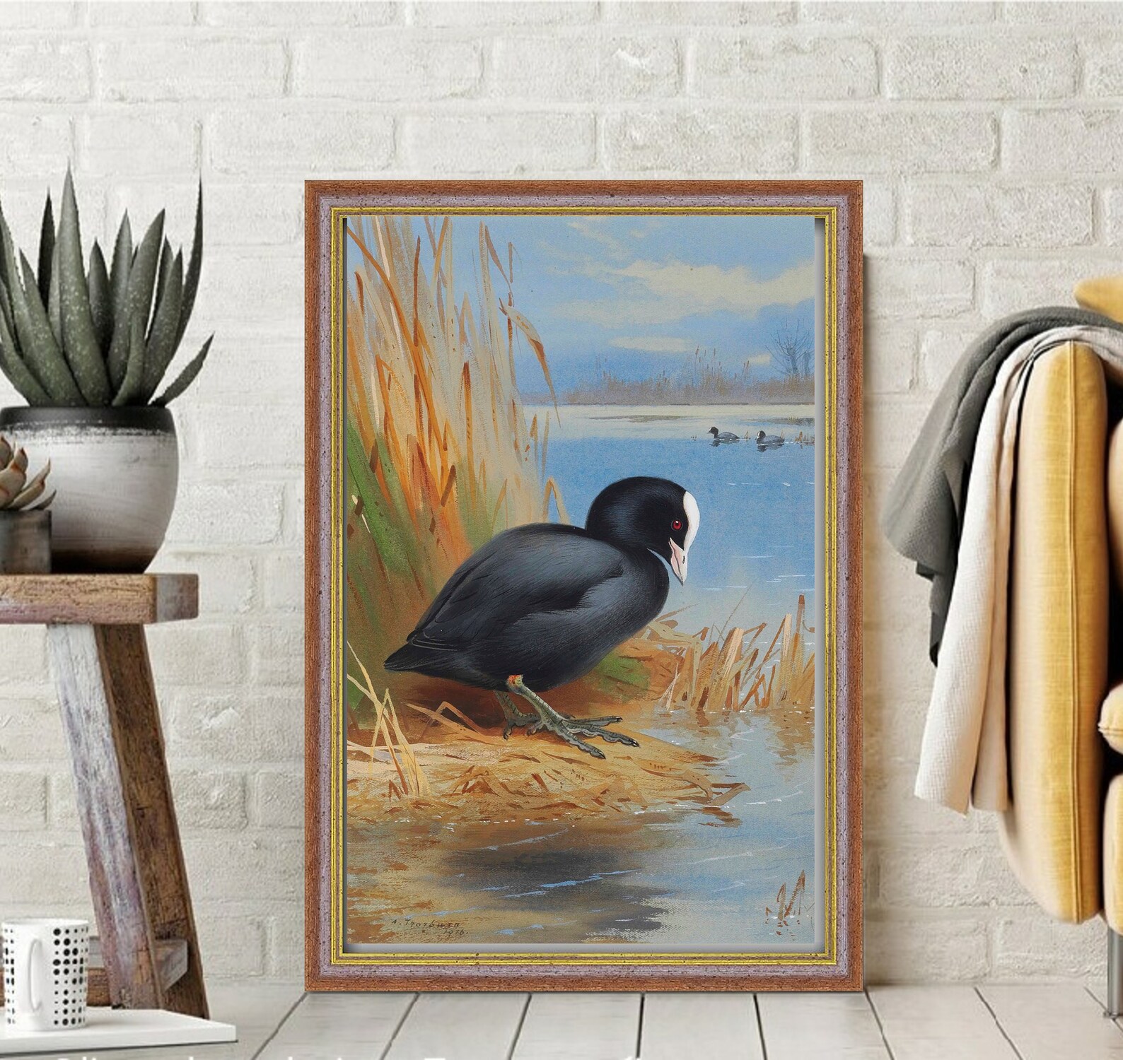 Antique Bird Painting | American Coot Canvas Art Print - Etsy
