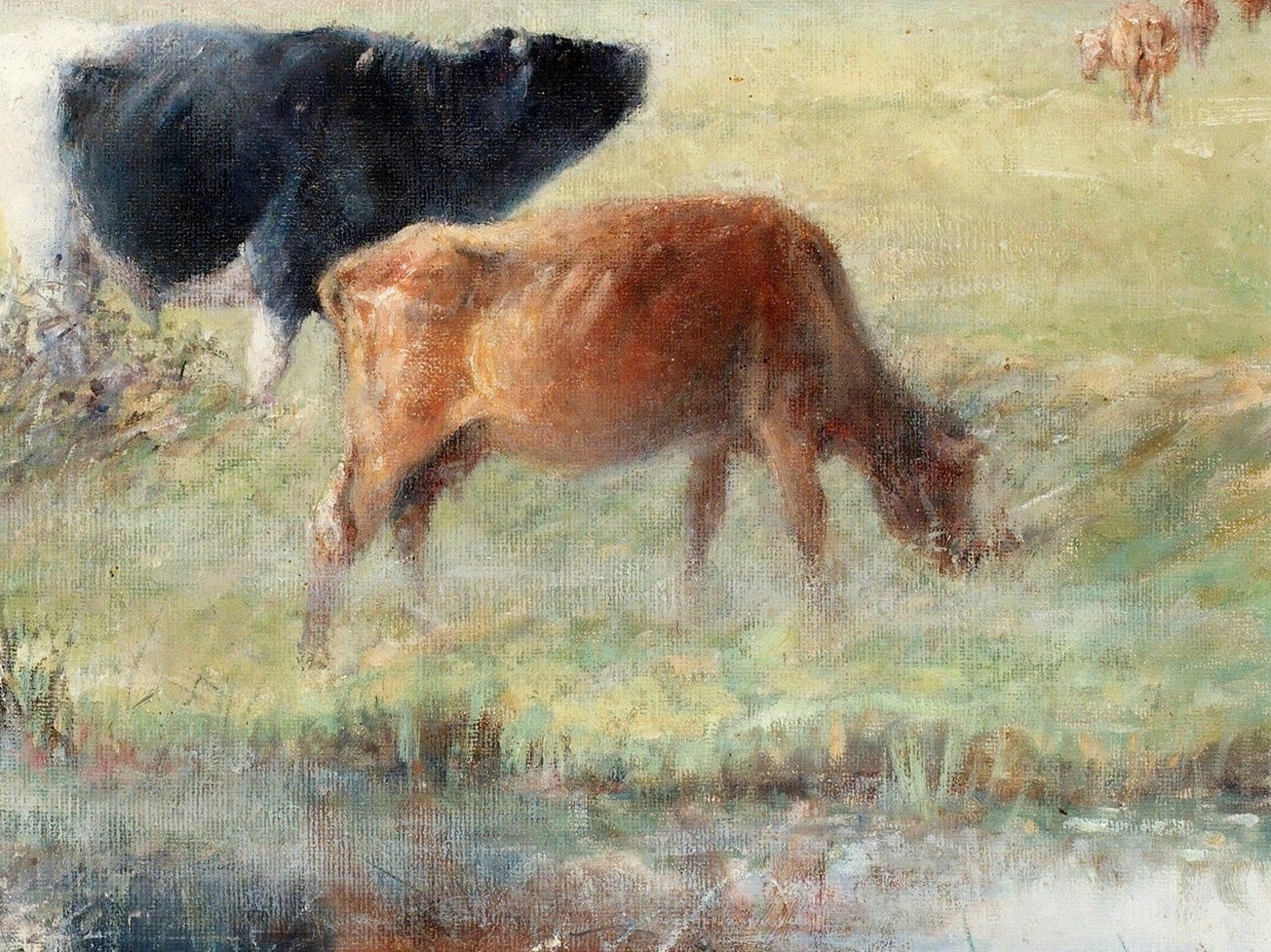 CANVAS ART PRINT | Cows on a Summer Pasture Wall Art Print | Farm ...