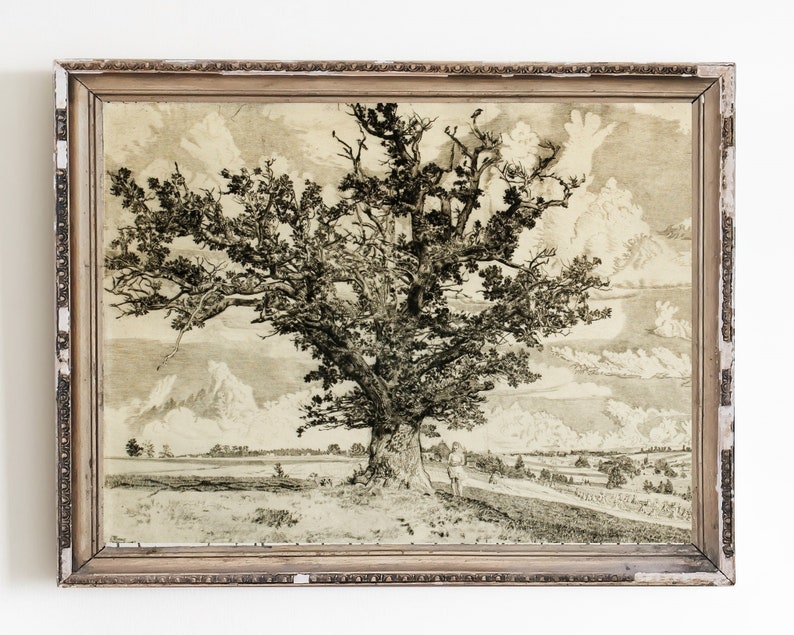 Vintage Tree Drawing | Antique Sketch, Minimalist Wall Art (digital ...