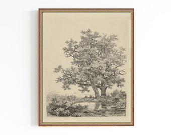 Oak Tree Etching - Etsy