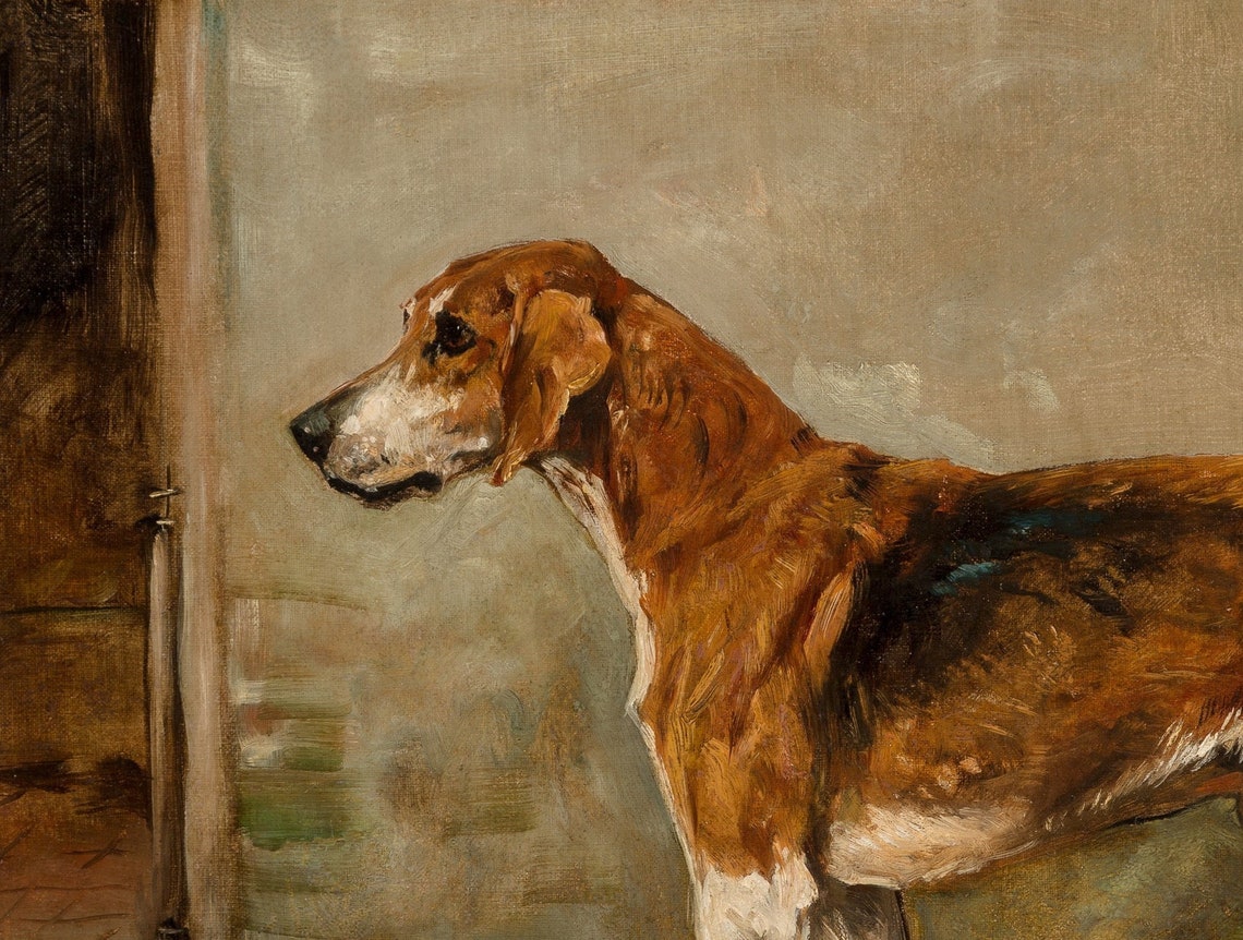 Antique Hound Dog Canvas Art Print | Vintage Animal Portrait - Etsy
