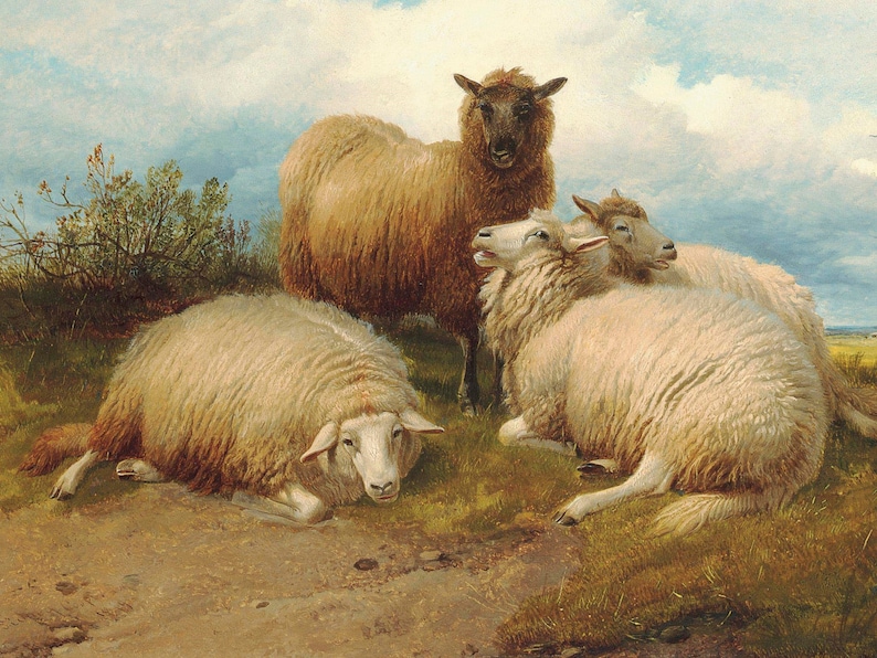 CANVAS ART PRINT | Vintage Sheep Painting | Antique Wall Art ...
