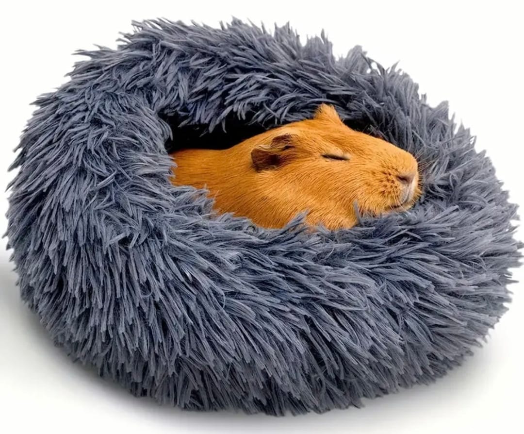 Guinea Pig Bed, Ferret, Hedgehog, Rabbit, Chipmunk. Super Soft ...