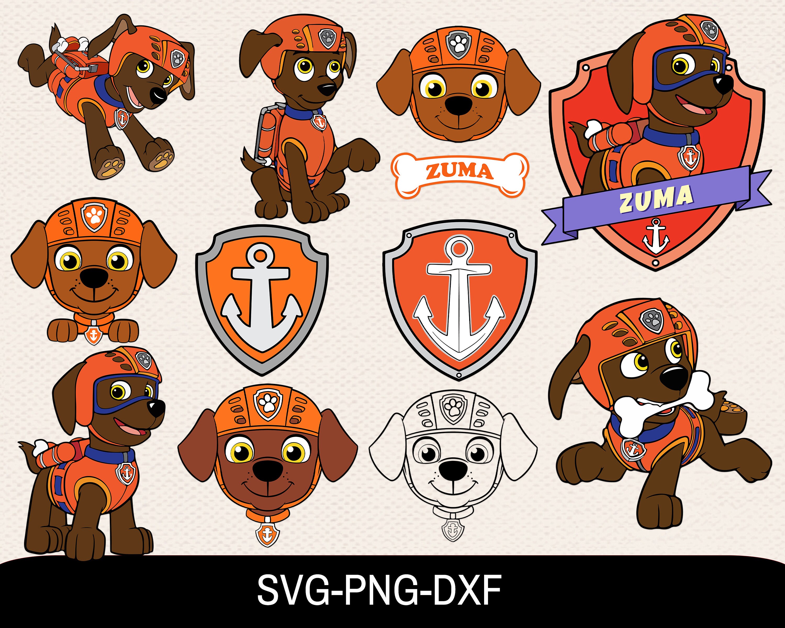 Paw Patrol Zuma Svg Zuma Svg Cricut Svg Paw Patrol Svg Cut | Etsy