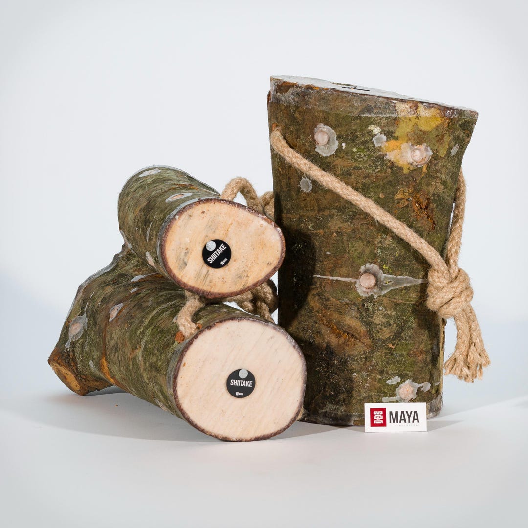 Pre-inoculated Mushroom Logs - Shiitake - Etsy