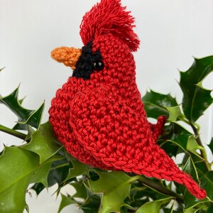 Cardinal Crochet Pattern. A Digital Download Pattern With Step by Step ...