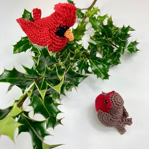 Cardinal Crochet Pattern. A Digital Download Pattern With Step by Step ...