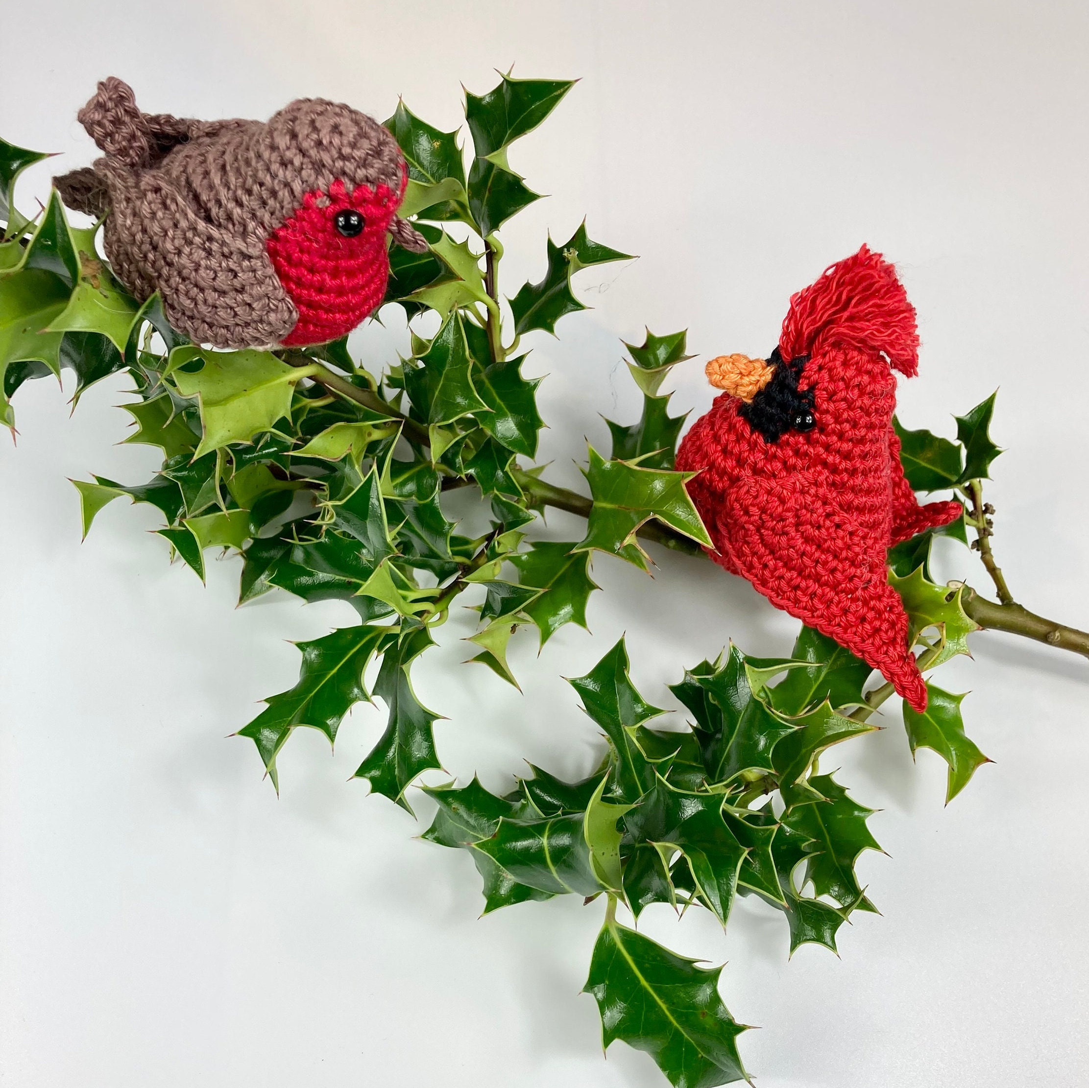 Robin Crochet Pattern. A Digital Download Pattern With Step by - Etsy