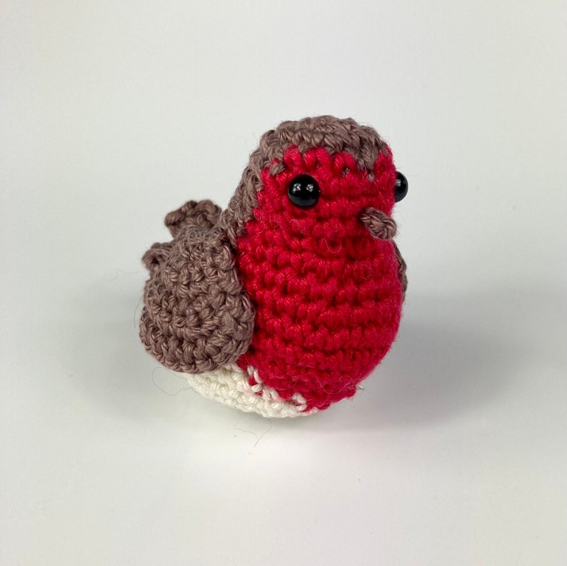 Robin Crochet Pattern. A Digital Download Pattern With Step by - Etsy