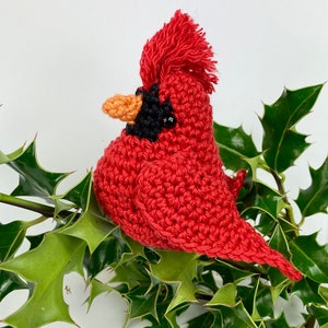 Cardinal Crochet Pattern. A Digital Download Pattern With Step by Step ...